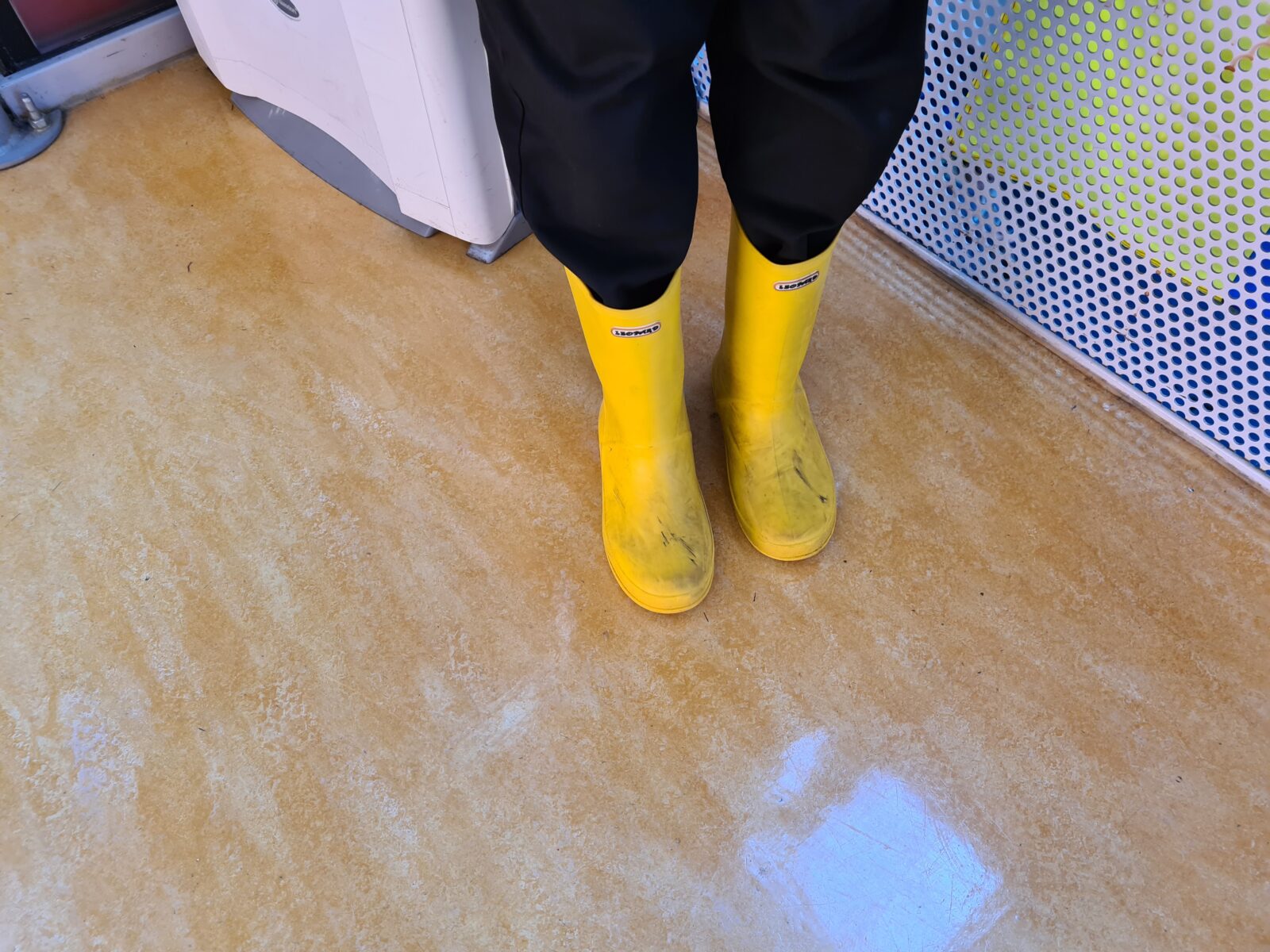 Hello Yellow - Cabot Learning Federation